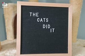 Quá khứ của do: V2, V3 của “do” là gì?