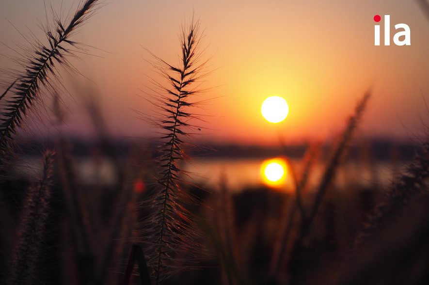 Quá khứ của rise: Phân biệt rise V2 và rise V3